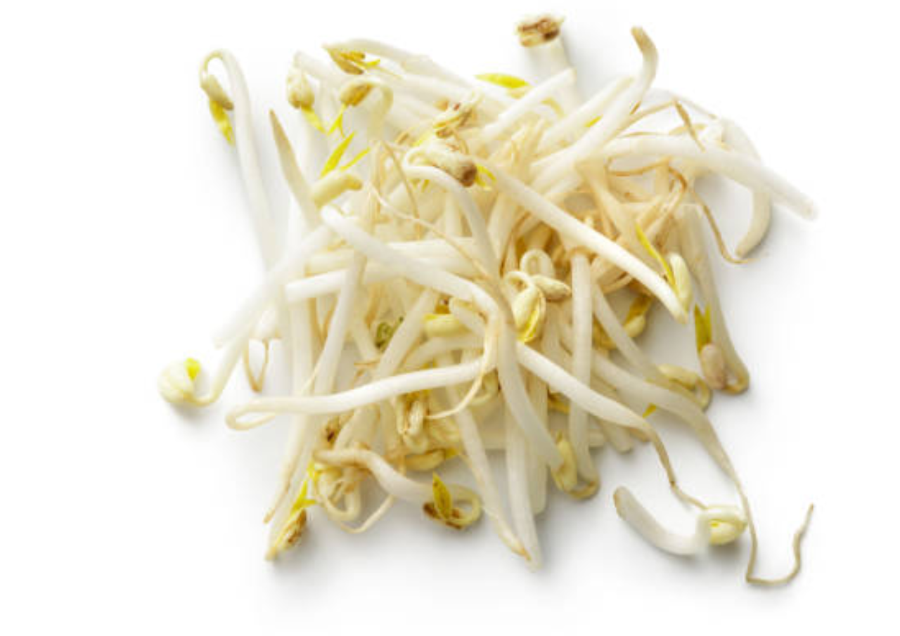 Nutrisi dan Manfaat Tauge - Info Seputar Pati